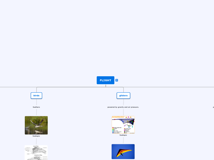 flight - Mind Map