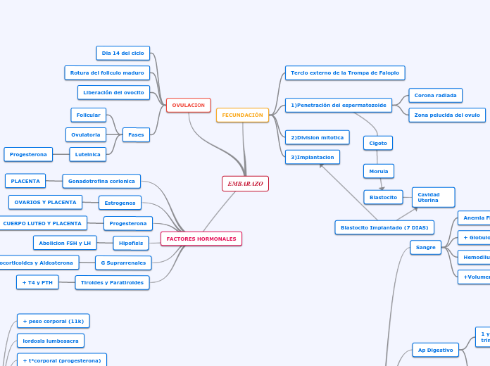 EMBARAZO - Mind Map
