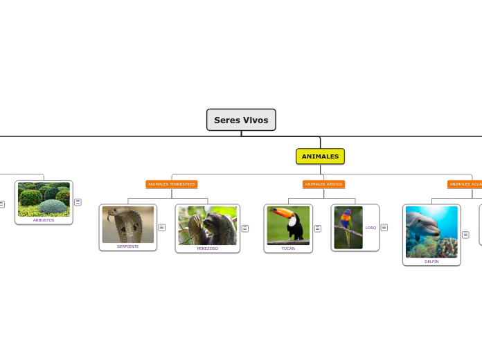 Seres Vivos - Mind Map