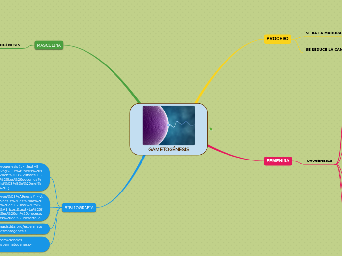 GAMETOGÉNESIS - Mind Map