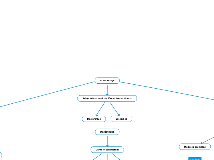 Mapa conceptual conceptos básicos Act. 1 - Mind Map