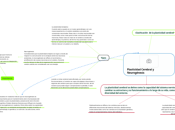 Plasticidad Cerebral y Neurogénesis - Mind Map