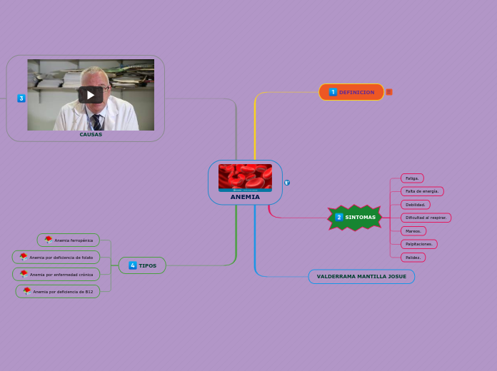 ANEMIA - Mappa Mentale - Schema