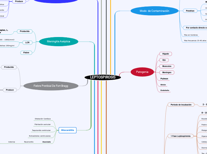 LEPTOSPIROSIS - Mind Map