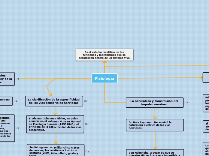 Fisiología - Mapa Mental - Amostra