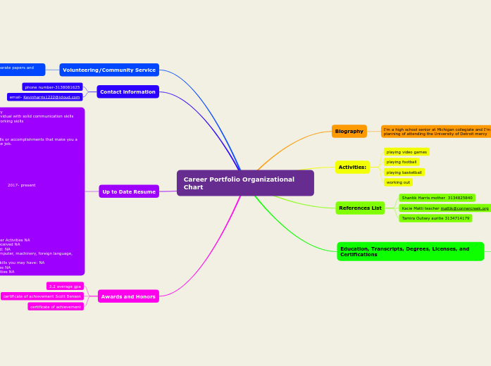 Career Portfolio Organizational Chart - Mind Map