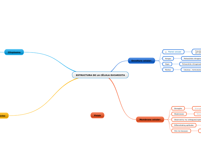 ESTRUCTURA DE LA CÉLULA EUCARIOTA - Mind Map