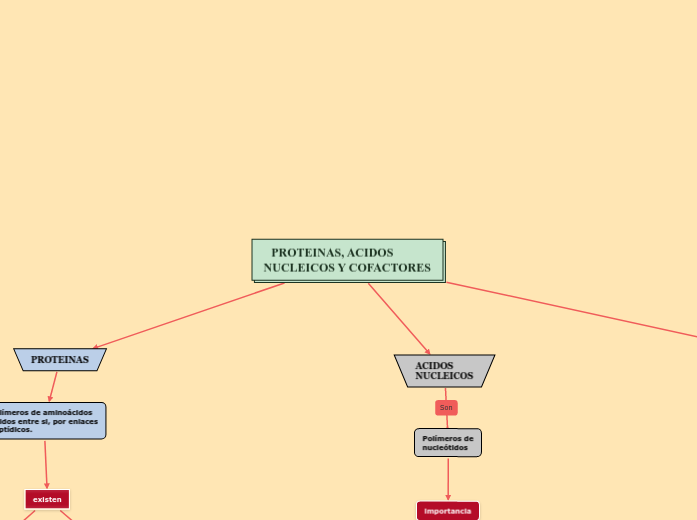 PROTEINAS, ACIDOS NUCLEICOS Y COF...- Mind Map