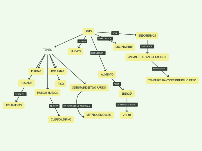 AVES - Mind Map