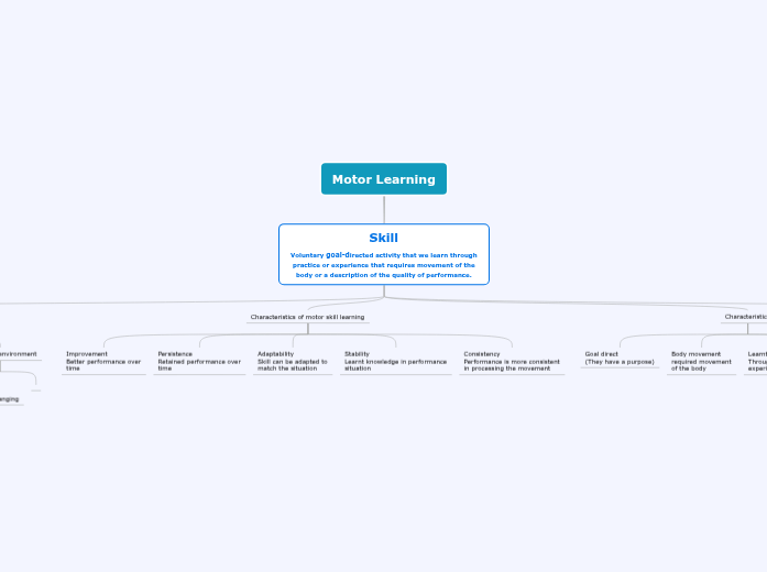 Motor Learning - Mind Map