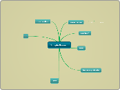 simple present - Mind Map