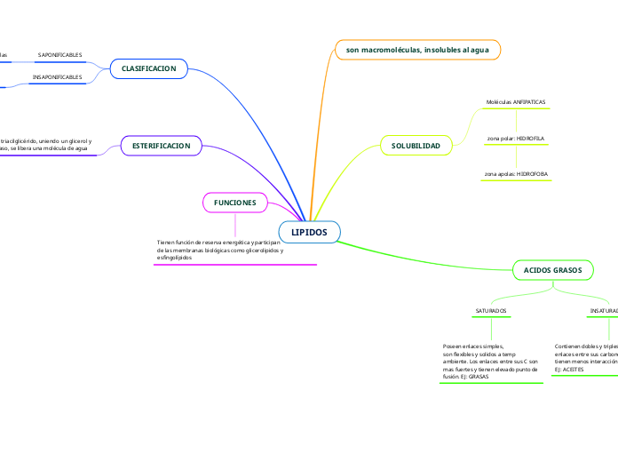 LIPIDOS - Mind Map