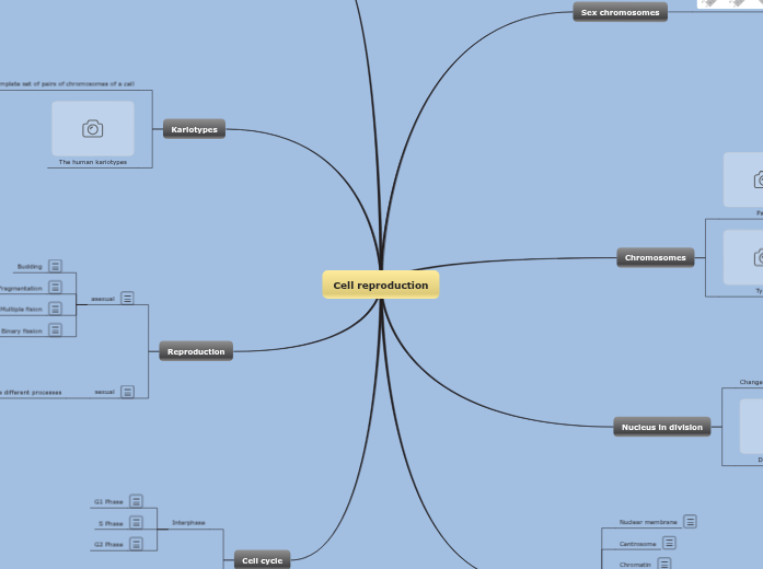 Cell reproduction - Mind Map