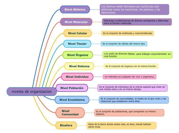 niveles de organizacion - Mind Map