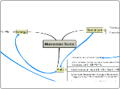 Momentum Terms - Mind Map