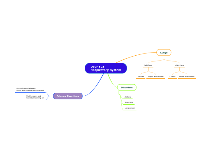 User 323 Respiratory System - Mind Map