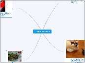 EL GATO DOMILON - Mind Map