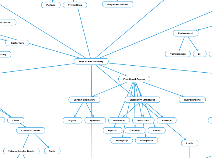 Unit 1: Biochemistry - Mind Map