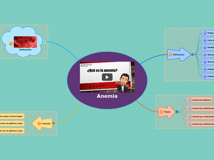 Anemia - Mind Map