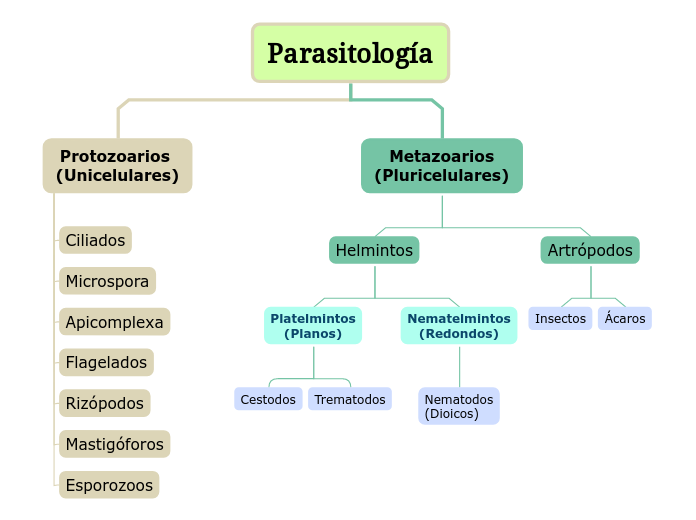 Parasitología - Mind Map