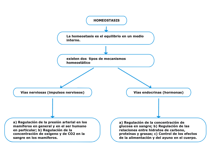 HOMEOSTASIS - Mind Map