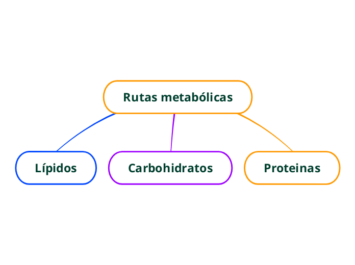 Rutas metabólicas - Mind Map