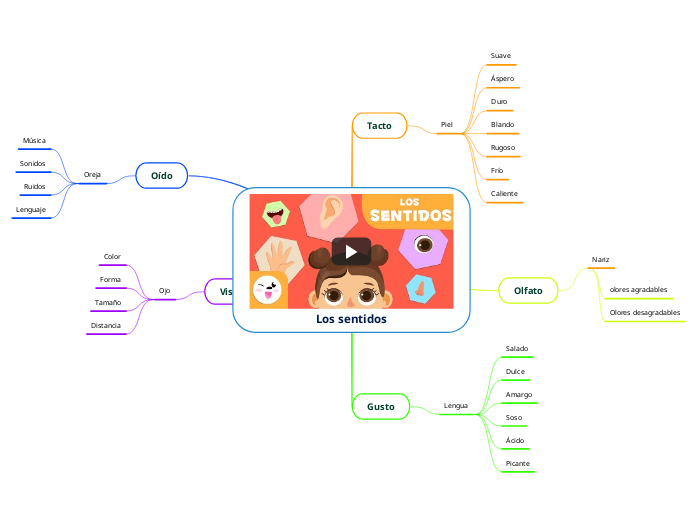 Los sentidos - Mind Map