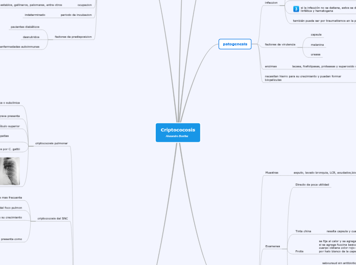 Criptococosis - Mind Map