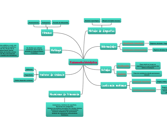 Entamoeba histolytica - Mind Map
