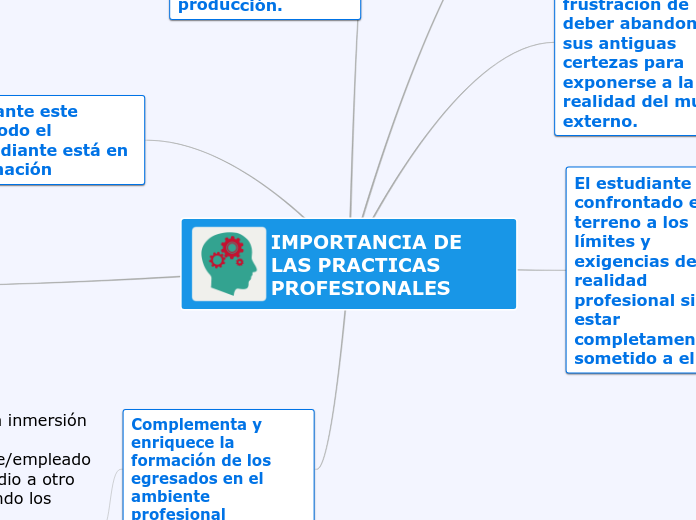 IMPORTANCIA DE LAS PRACTICAS PROFESIONALES - Mind Map