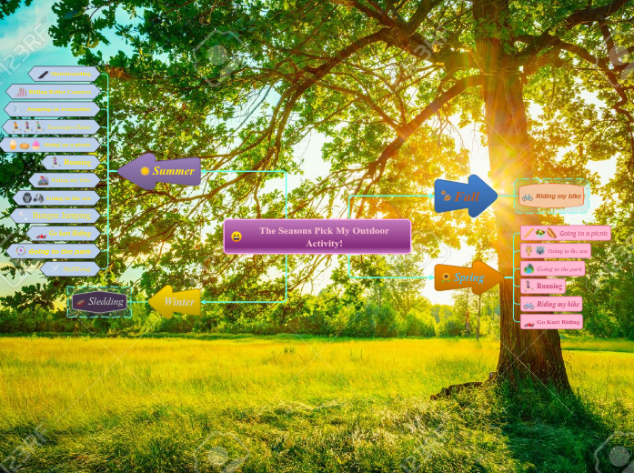 The Seasons Pick My Outdoor Activity! - Mind Map