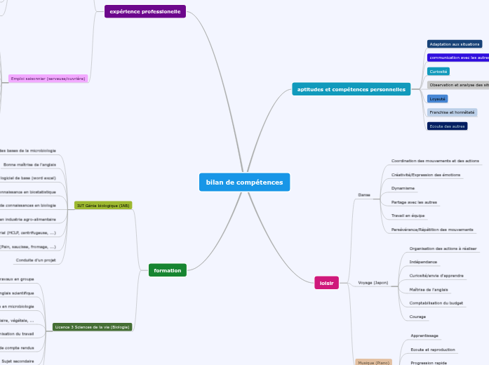 bilan de compétences - Mind Map