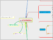 MULTIMEDIA - Mind Map