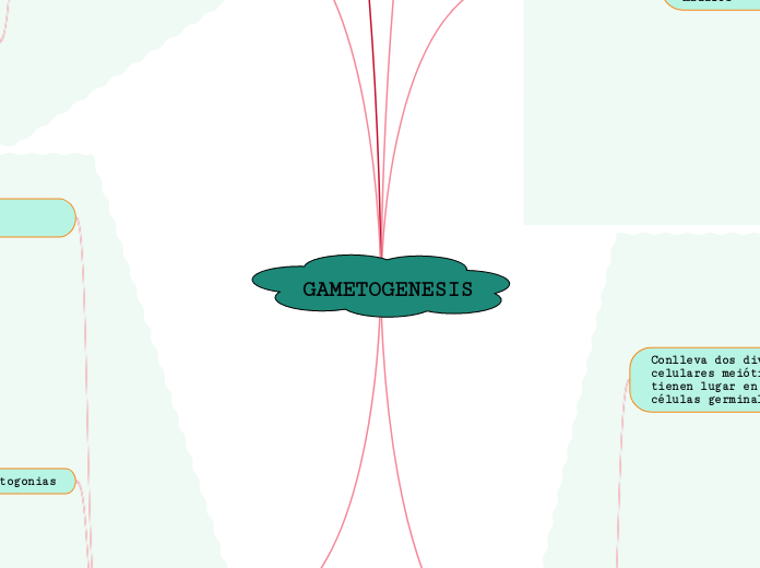 GAMETOGENESIS - Mind Map