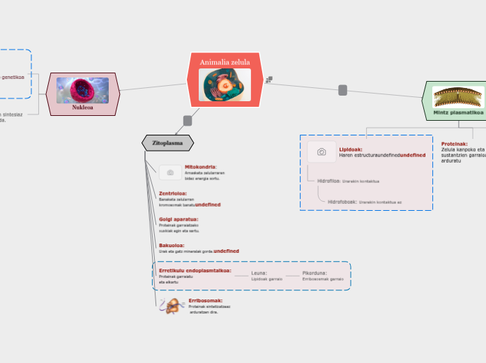 Animalia zelula - Mind Map