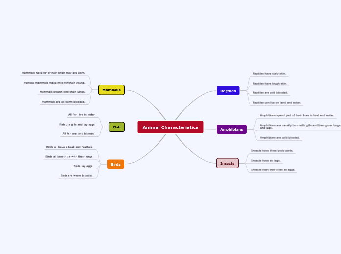 Animal Characteristics - Mind Map