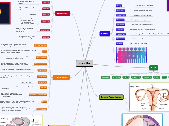 Sexuality Mind Map