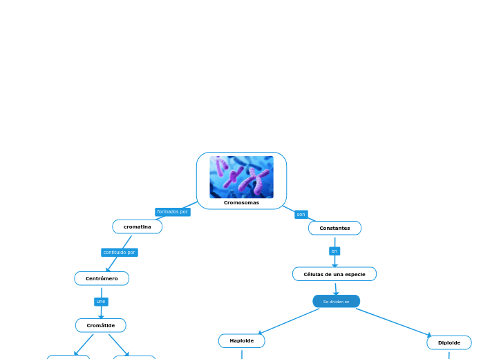 Cromosomas - Mind Map