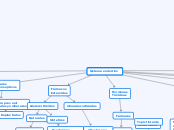 Sistema endrono - Concept Map