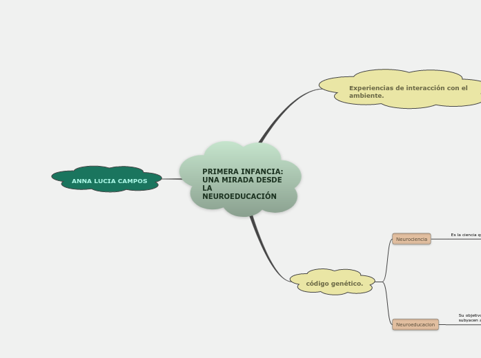 Primera Infancia Una Mirada Desde La Neur Mind Map