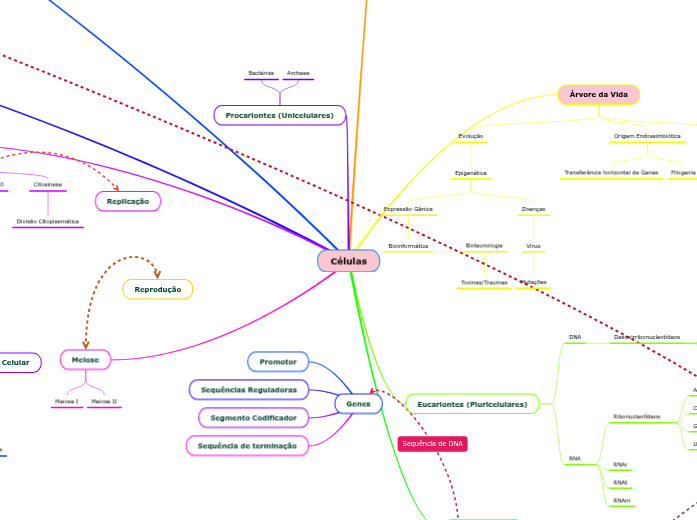 Células - Mind Map
