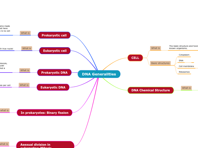 DNA Generalities - Mind Map