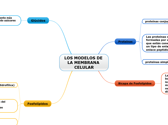 LOS MODELOS DE LA MEMBRANA CELULAR - Mind Map