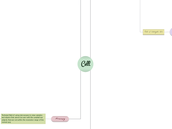 The Cell - Mind Map