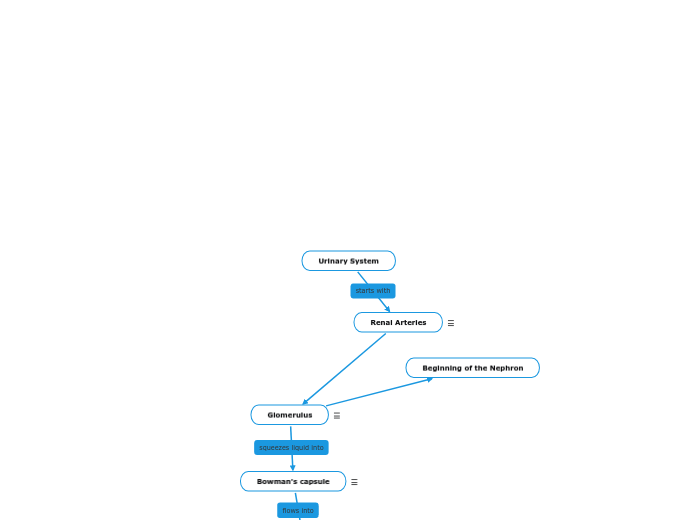 Urinary System - Mind Map