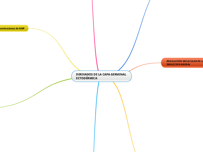 DERIVADOS DE LA CAPA GERMINAL ECTODÉRMICA - Mind Map