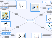 Macromolecules - Concept Map