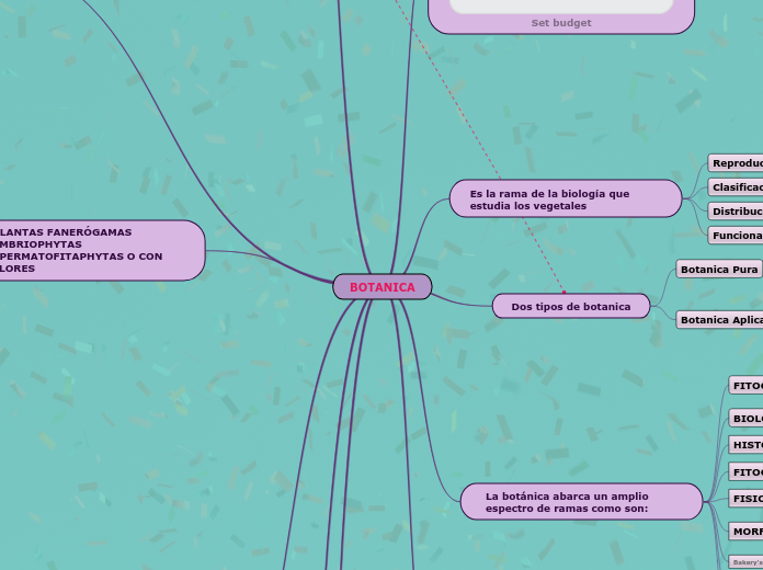 BOTANICA - Mind Map