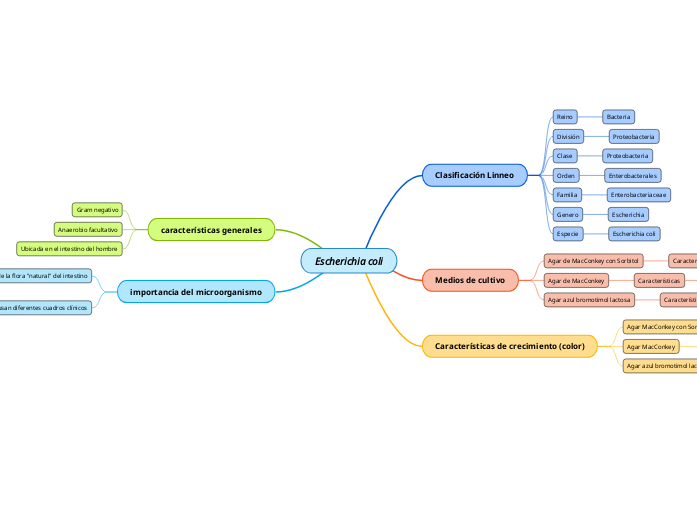 Escherichia coli - Mind Map